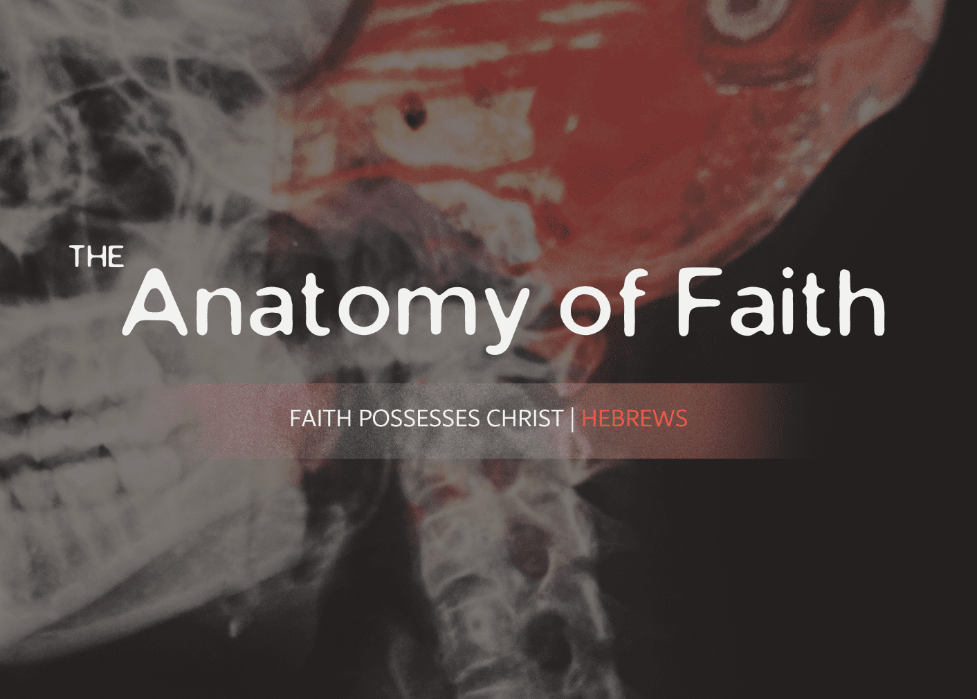 Faith: Possesses Christ, Part 2 - Open the Bible