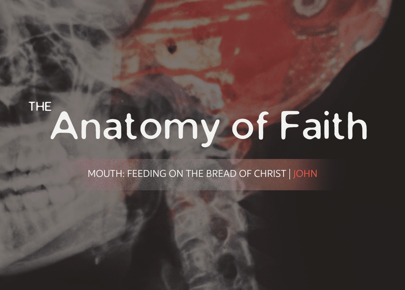 Mouth: Feasting on the Bread of Christ, Part 1 - Open the Bible