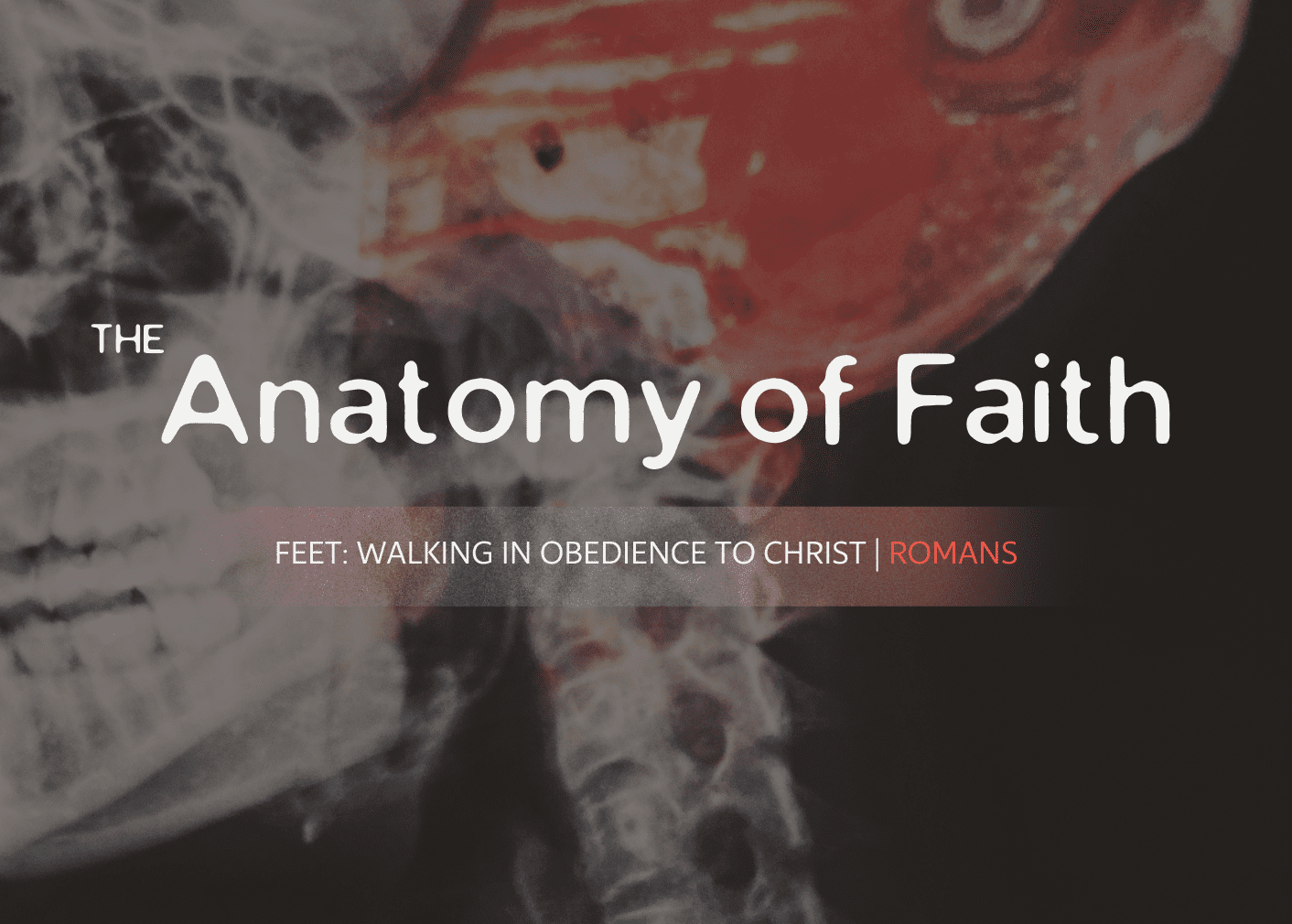Feet: Walking in Obedience to Christ, Part 2 - Open the Bible