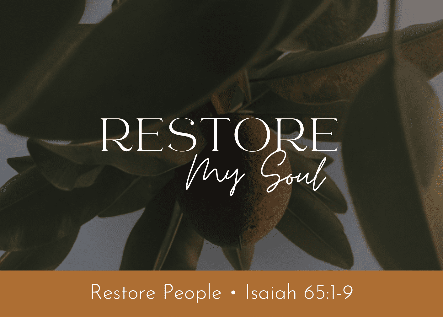 Restore People, Part 1 - Open the Bible