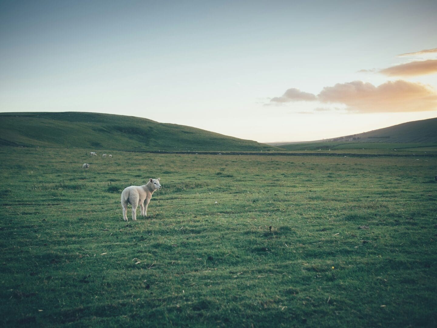 Psalm 23 Explained Line By Line - Open the Bible