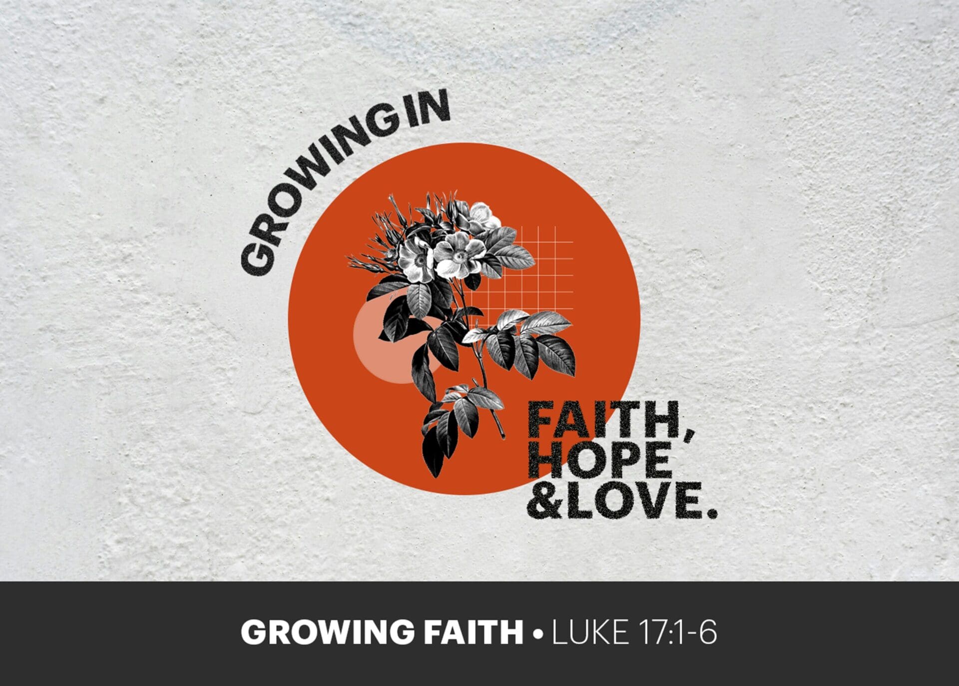 Growing Faith, Part 1 - Open the Bible