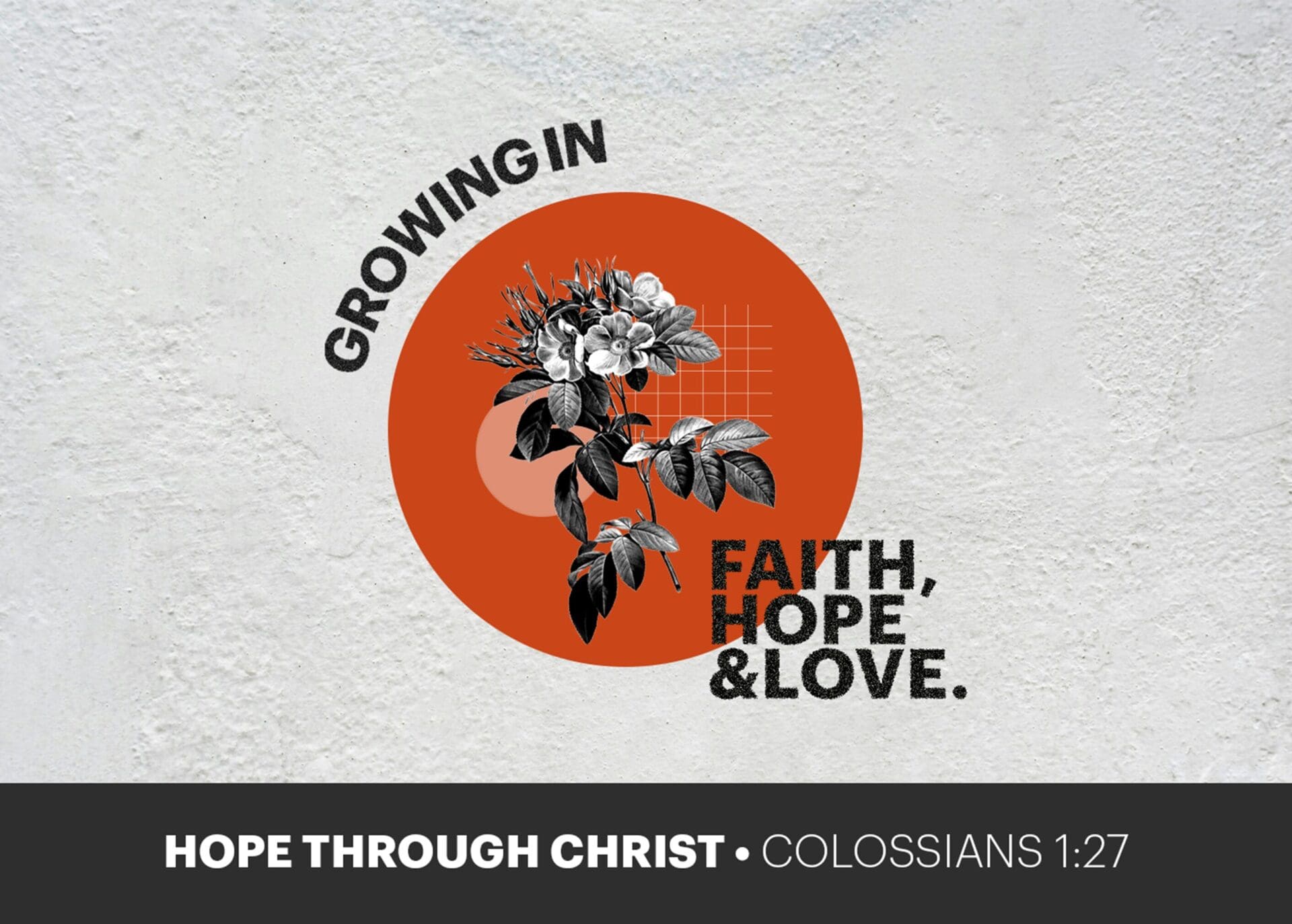Hope Through Christ, Part 2 - Open the Bible