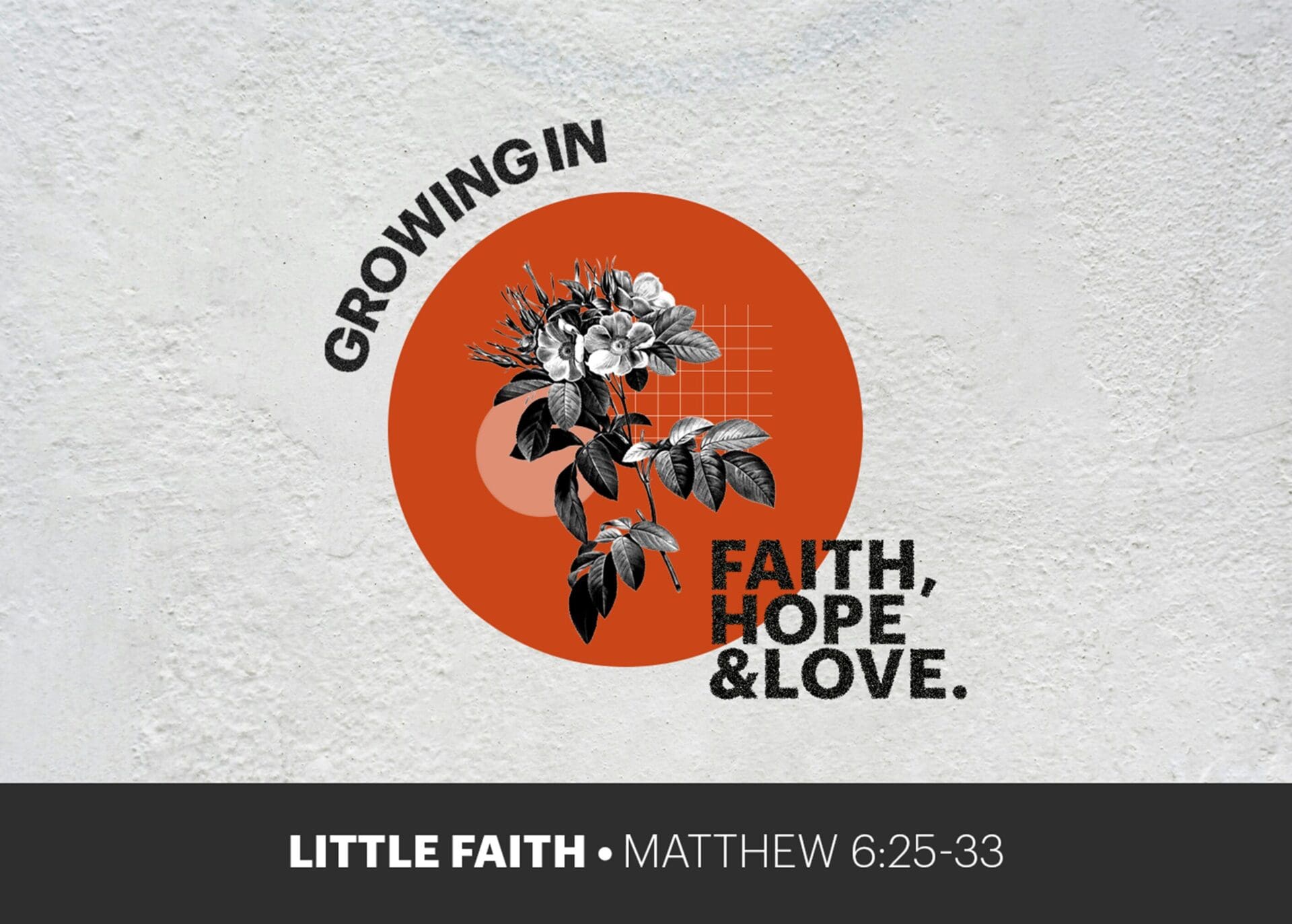 Little Faith - Open the Bible