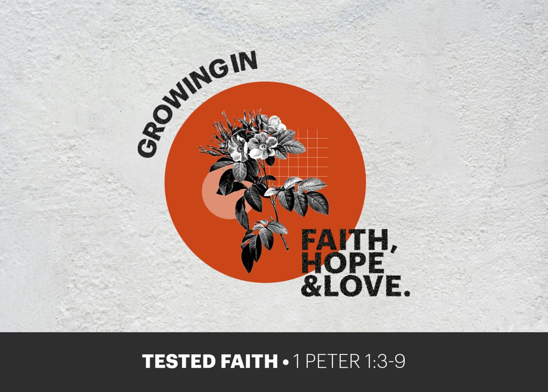 Tested Faith, Part 2 - Open the Bible
