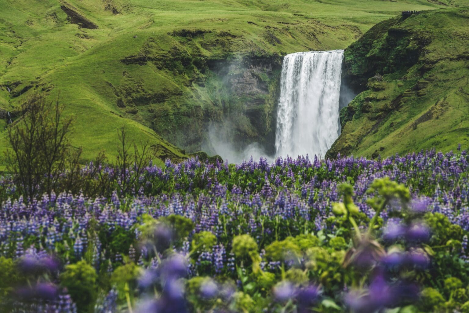 How Do I Get to Heaven? - Open the Bible