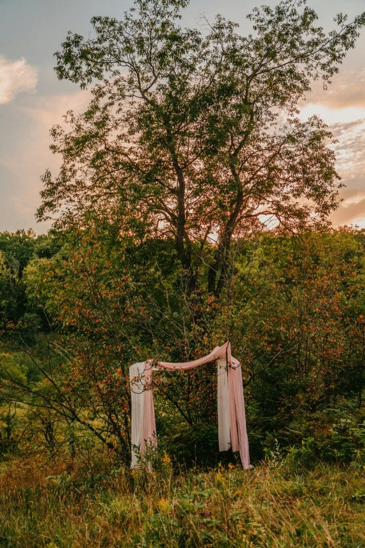 Jesus’ Perfect Sacrifice Was Offered - Open the Bible