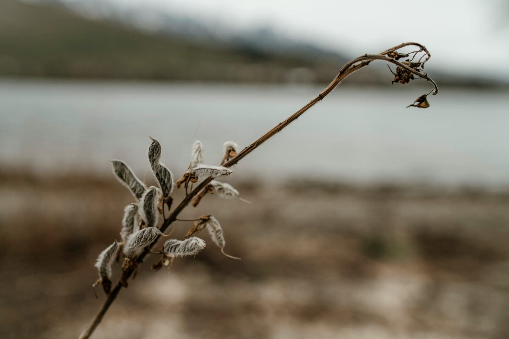 How to Mourn Over Your Sins - Open the Bible