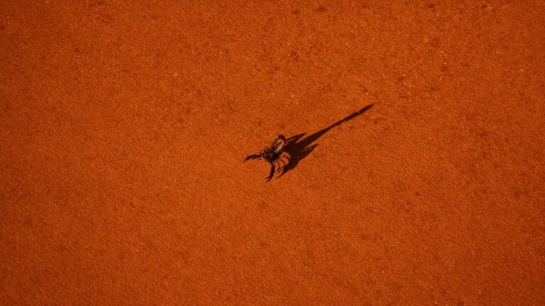 How to Mourn Over Your Sins - Open the Bible