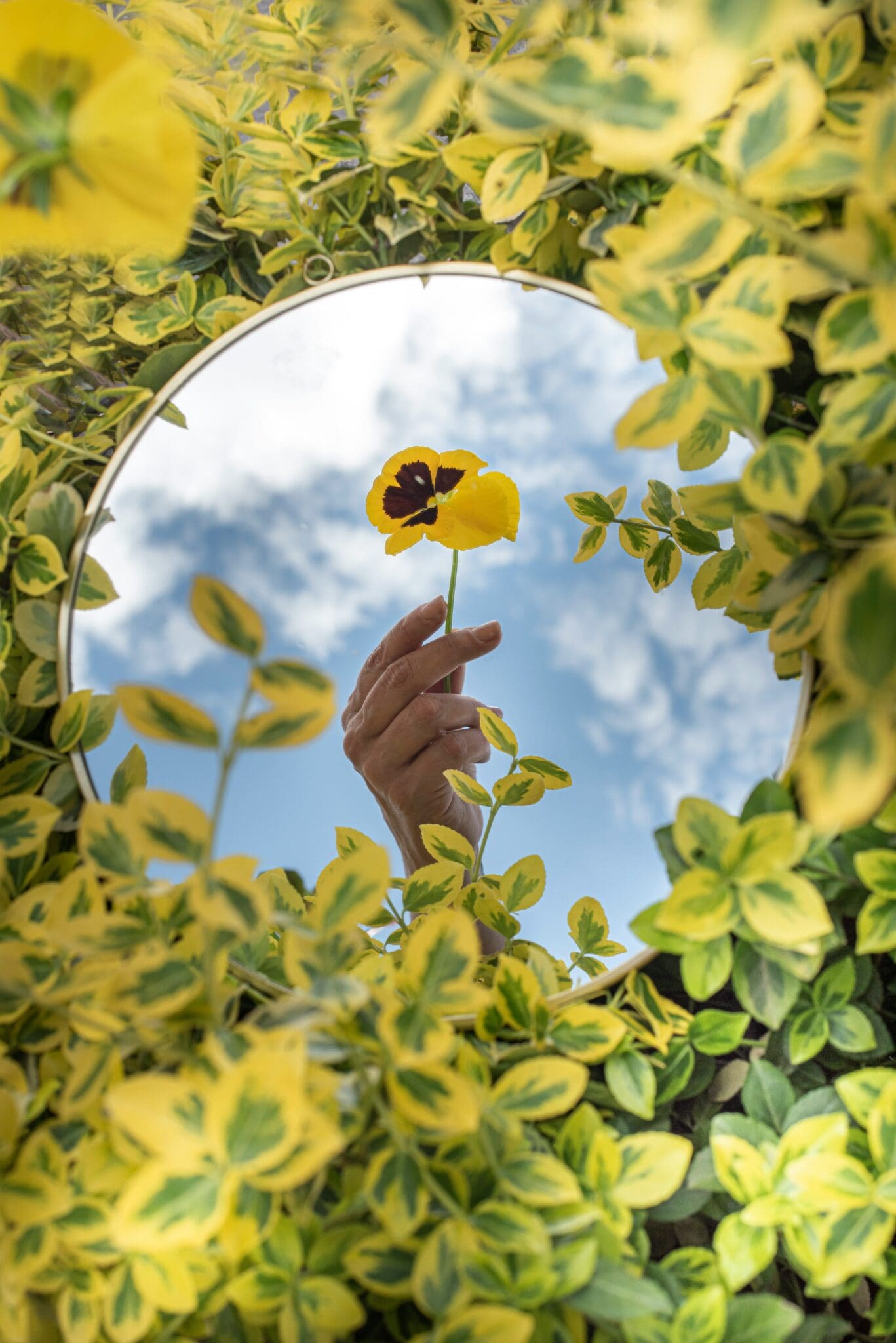 Will We Retain Our Identities in Heaven? - Open the Bible